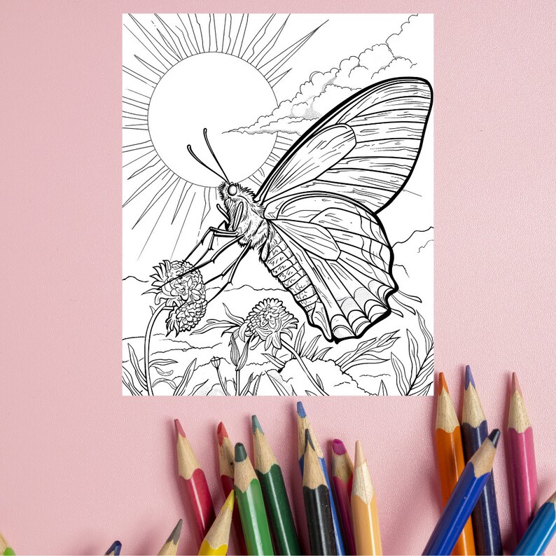 Butterfly Coloring Pages: 50 Sheets for Kids & Adults (PDF File) - Etsy