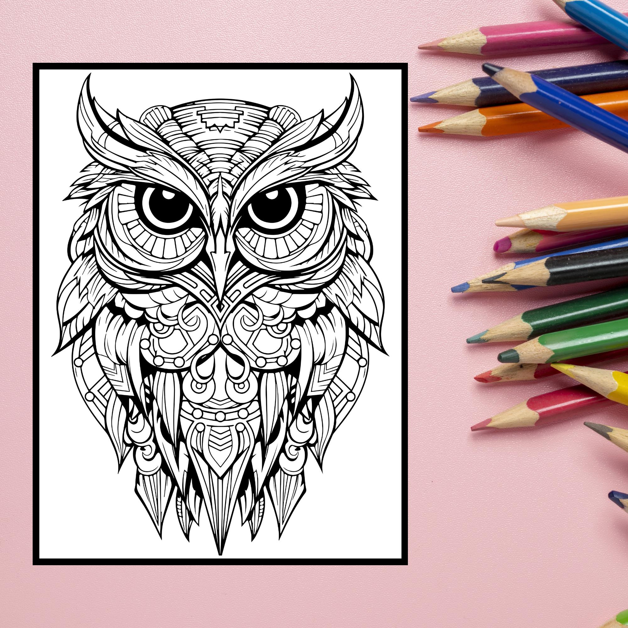 Owl Mandala Coloring Pages: 50 Printable Designs for Relaxation (PDF ...