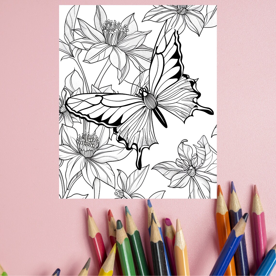 50 Butterfly Coloring Pages for Kids and Adults Butterfly Сoloring ...