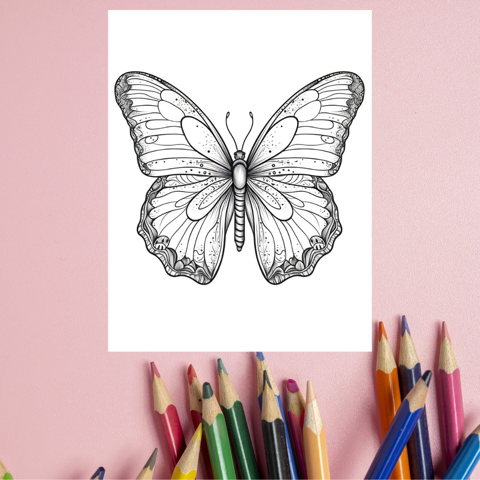 Butterfly Coloring Pages: 50 Sheets for Kids & Adults (PDF File) - Etsy