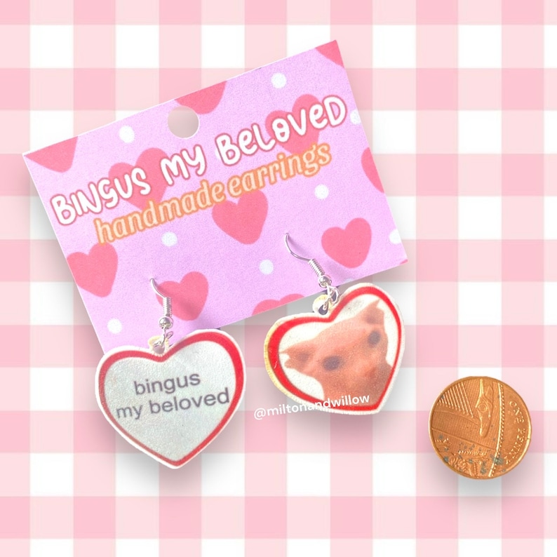 Bingus My Beloved Bingus Meme Handmade Plastic Earrings - Etsy UK