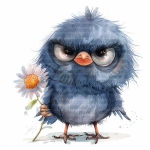 15 Grumpy Birds Watercolor Clipart, Fluffy Cute Birds, Commercial Use ...
