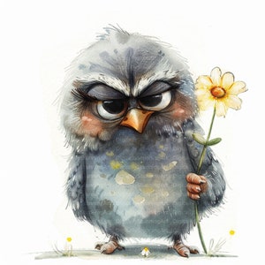 15 Grumpy Birds Watercolor Clipart, Fluffy Cute Birds, Commercial Use ...