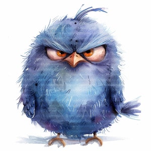15 Grumpy Birds Watercolor Clipart, Digital Clipart, Commercial Use ...