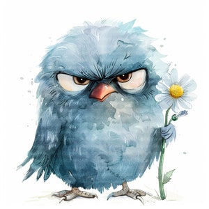 15 Grumpy Birds Watercolor Clipart, Fluffy Cute Birds, Commercial Use ...