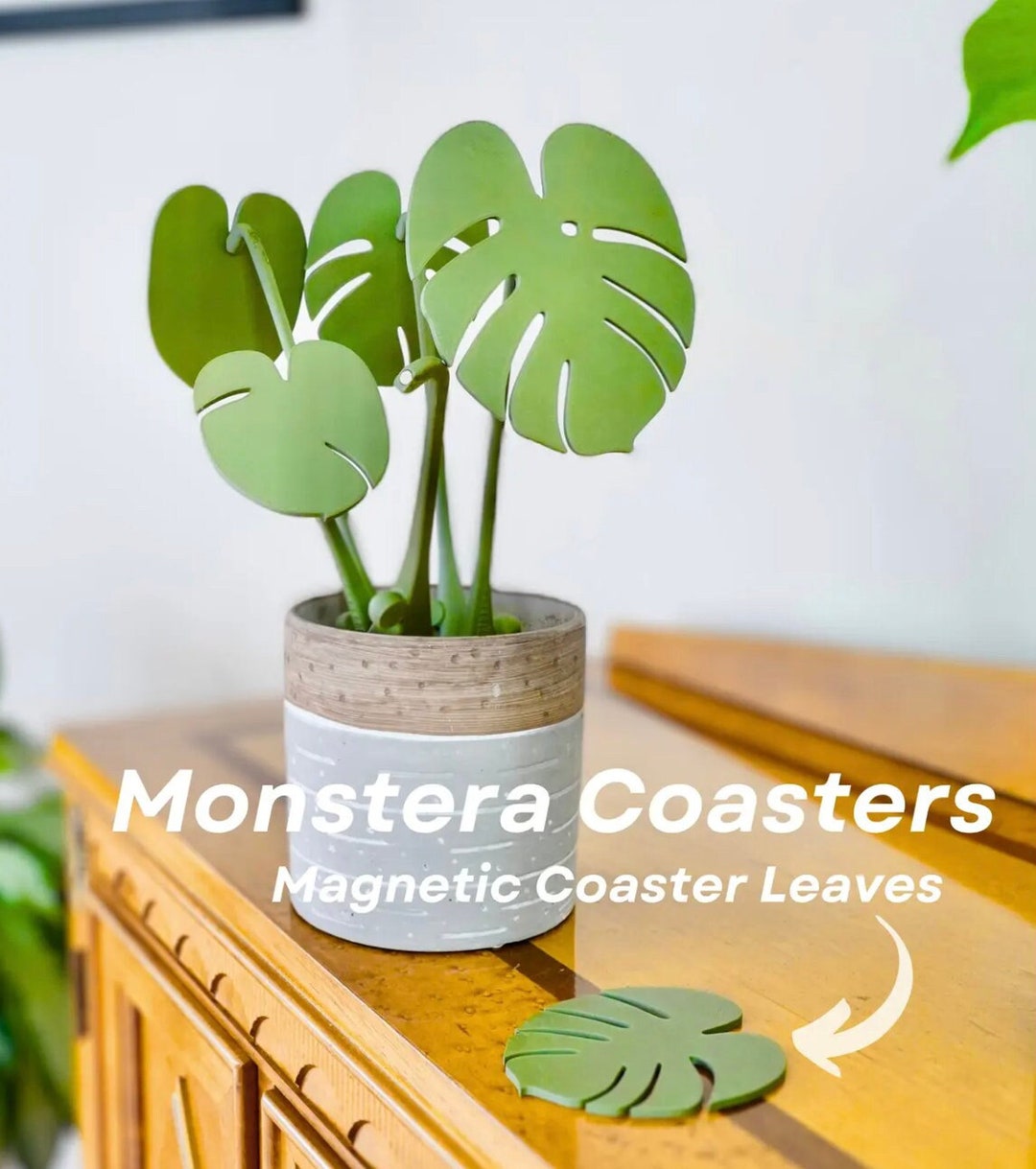 Monstera Coasters - Magnetic Leaves - Etsy