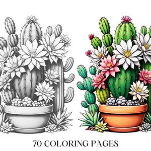 Cactus and Succulents Coloring Pages (70 Pages) Adult & Kid Coloring ...
