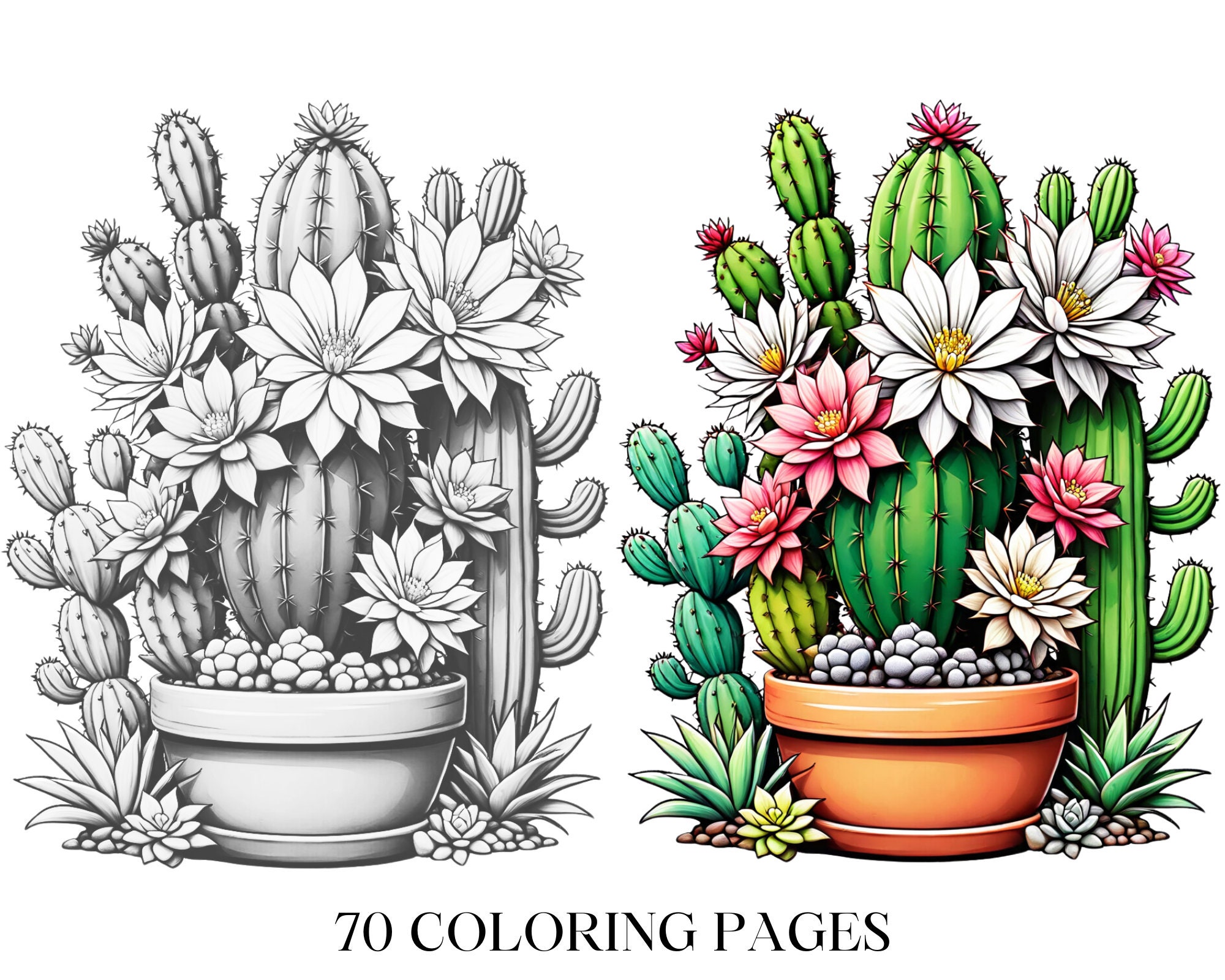 Cactus and Succulents Coloring Pages 70 Pages Adult & Kid Coloring Book ...