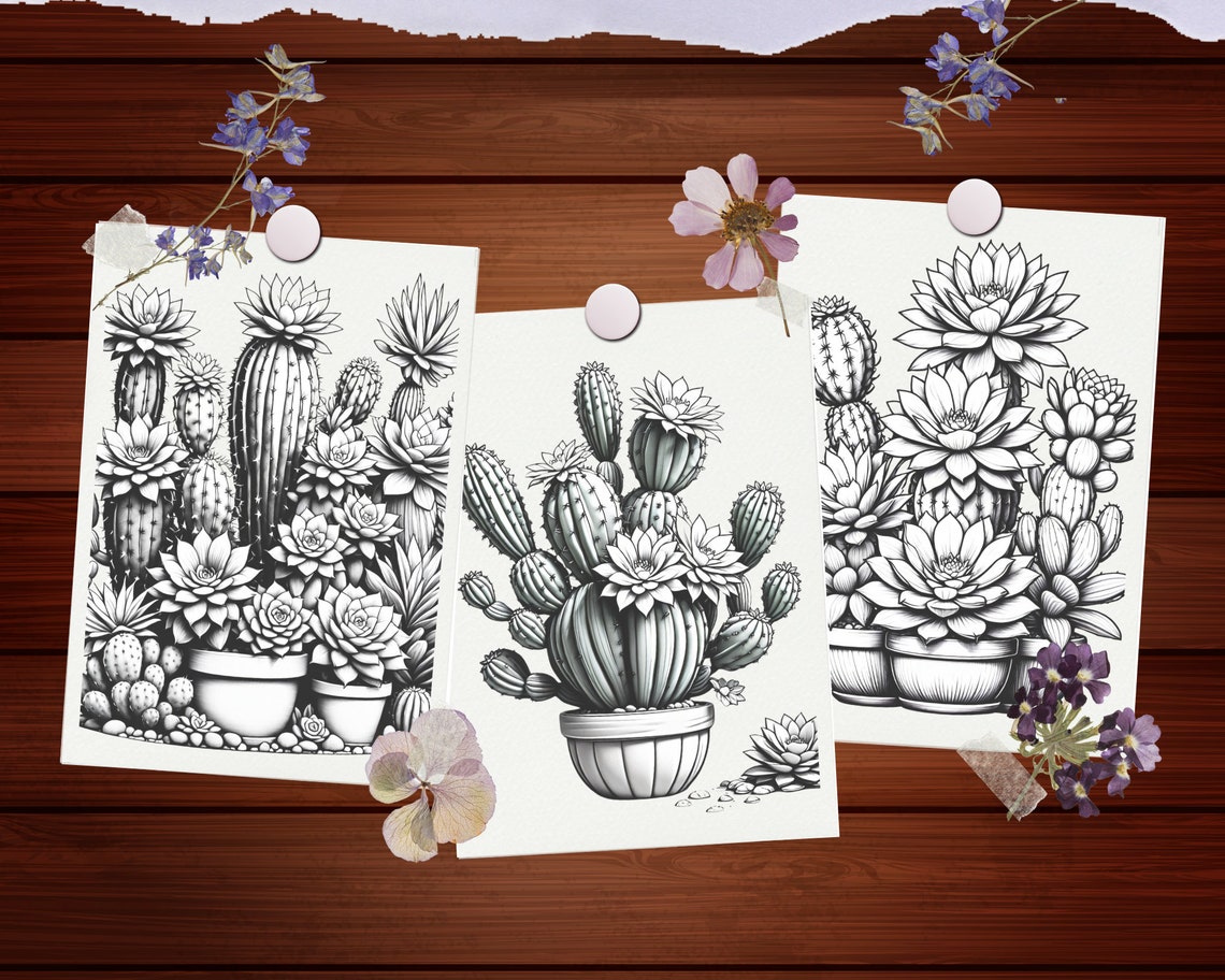 Cactus and Succulents Coloring Pages 70 Pages Adult & Kid Coloring Book ...
