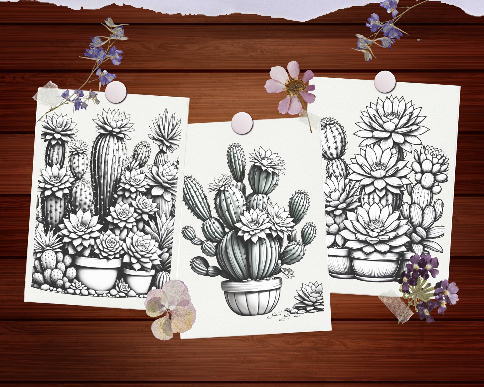 Cactus and Succulents Coloring Pages 70 Pages Adult & Kid Coloring Book ...