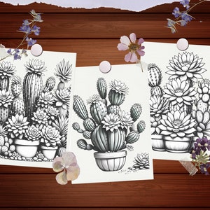 Cactus and Succulents Coloring Pages (70 Pages) Adult & Kid Coloring ...