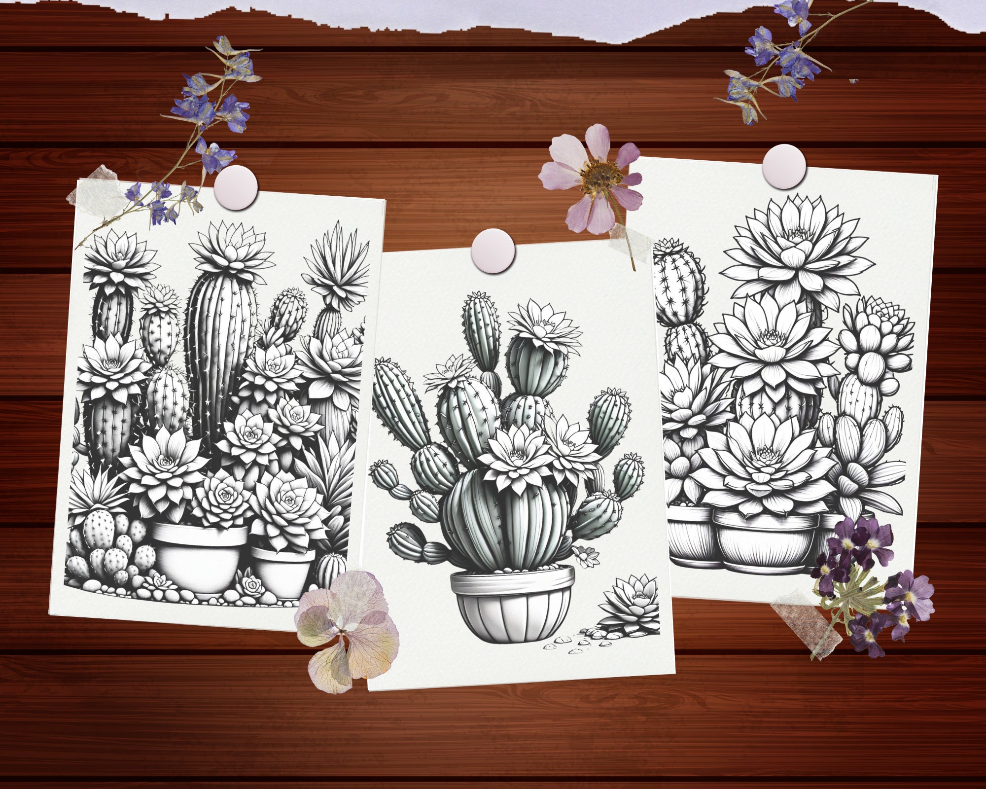 Cactus and Succulents Coloring Pages 70 Pages Adult & Kid Coloring Book ...