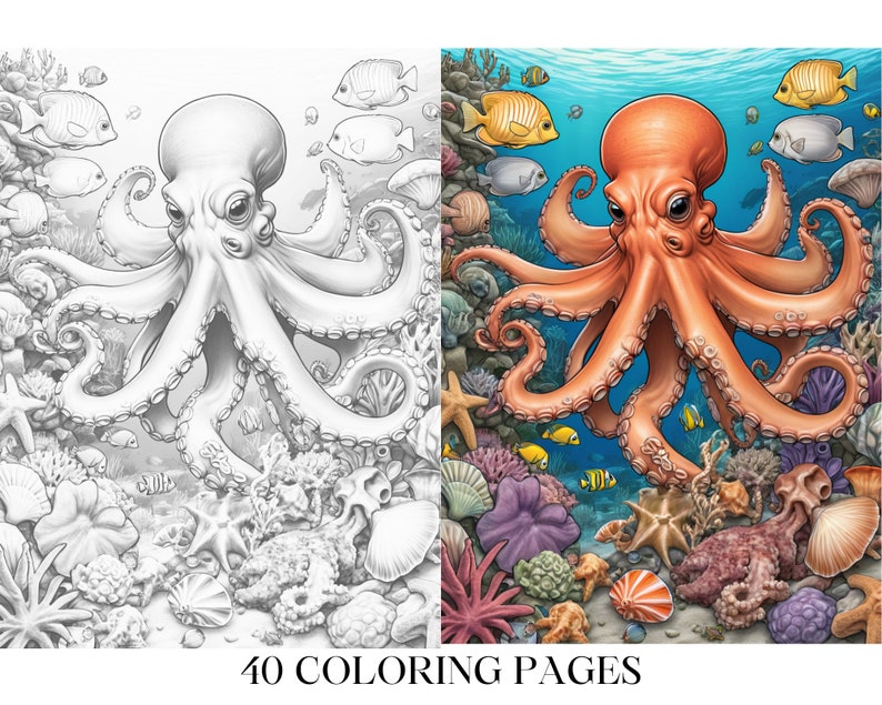 Enchanted Underwater Coloring Pages 40 Pages Adult & Kid Coloring Book ...