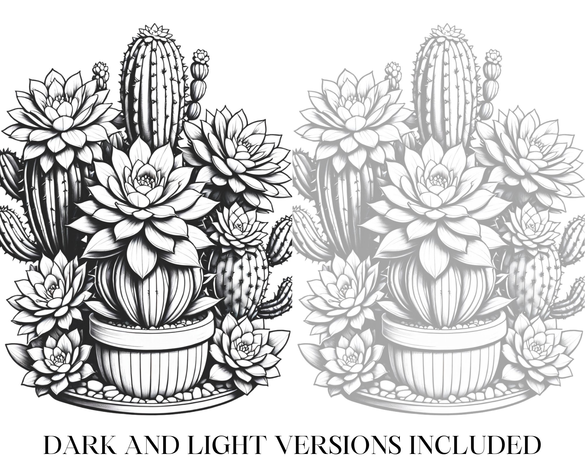 Cactus and Succulents Coloring Pages 70 Pages Adult & Kid Coloring Book ...
