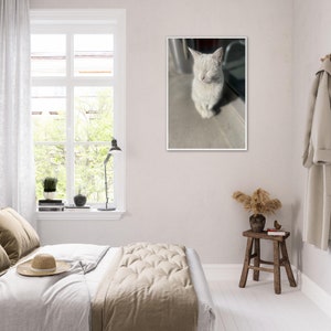 White Cat Print, Kitty Wall Art for Home Decor & Animal Lovers, Instant ...