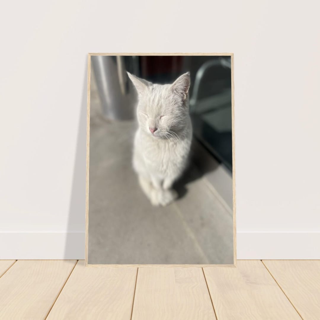 White Cat Print, Kitty Wall Art for Home Decor & Animal Lovers, Instant ...