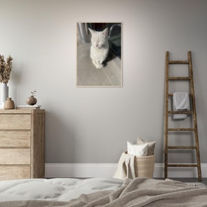 White Cat Print, Kitty Wall Art for Home Decor & Animal Lovers, Instant ...