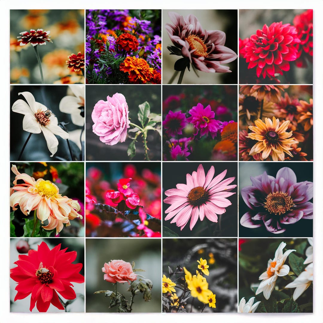 21 Close-up Flower Photos - Botanical Digital Wall Art Prints, Nature ...