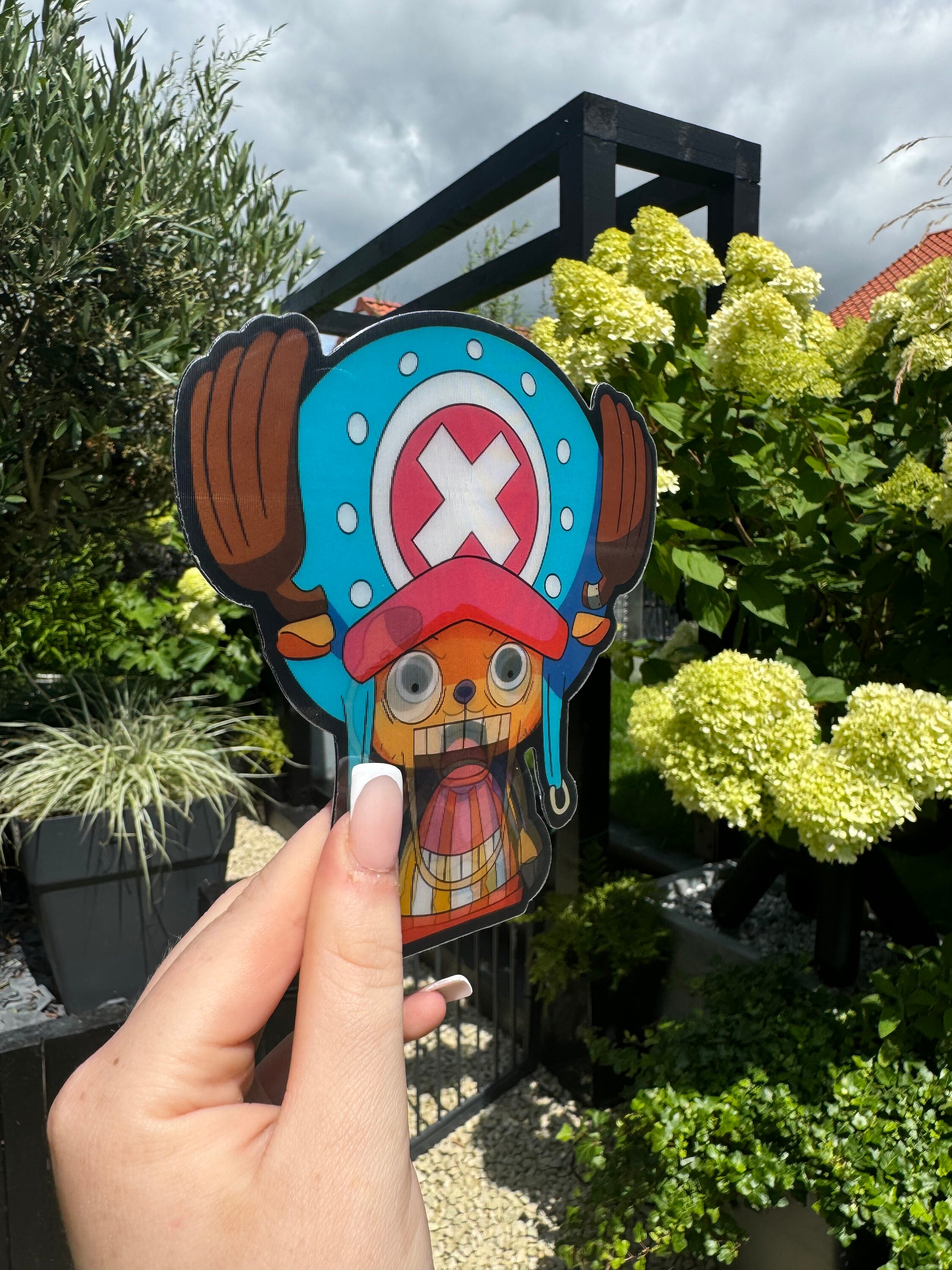 Anime Motion Sticker, Anime Car Sticker Decal, Manga Sticker - Etsy