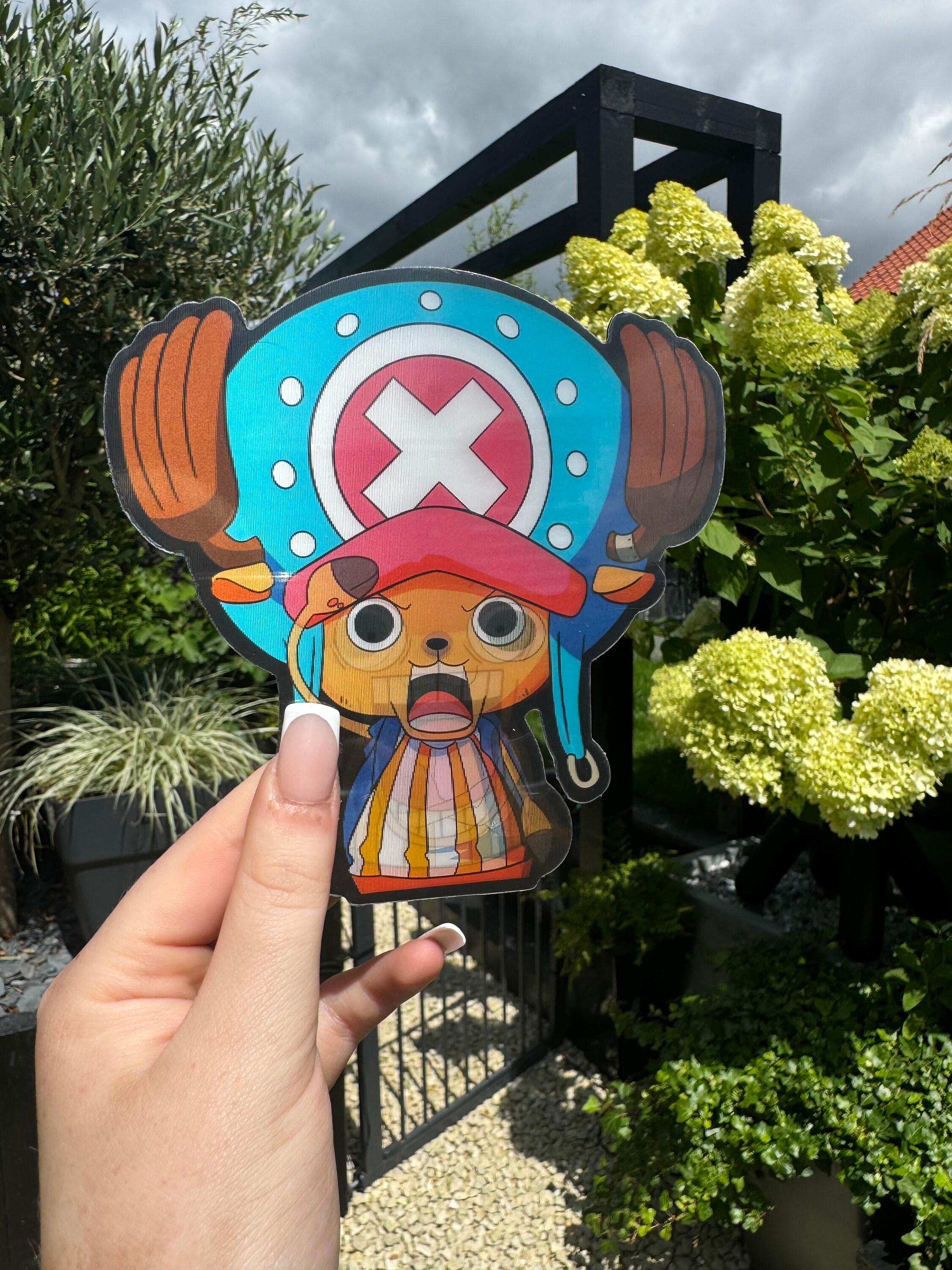 Anime Motion Sticker, Anime Car Sticker Decal, Manga Sticker - Etsy