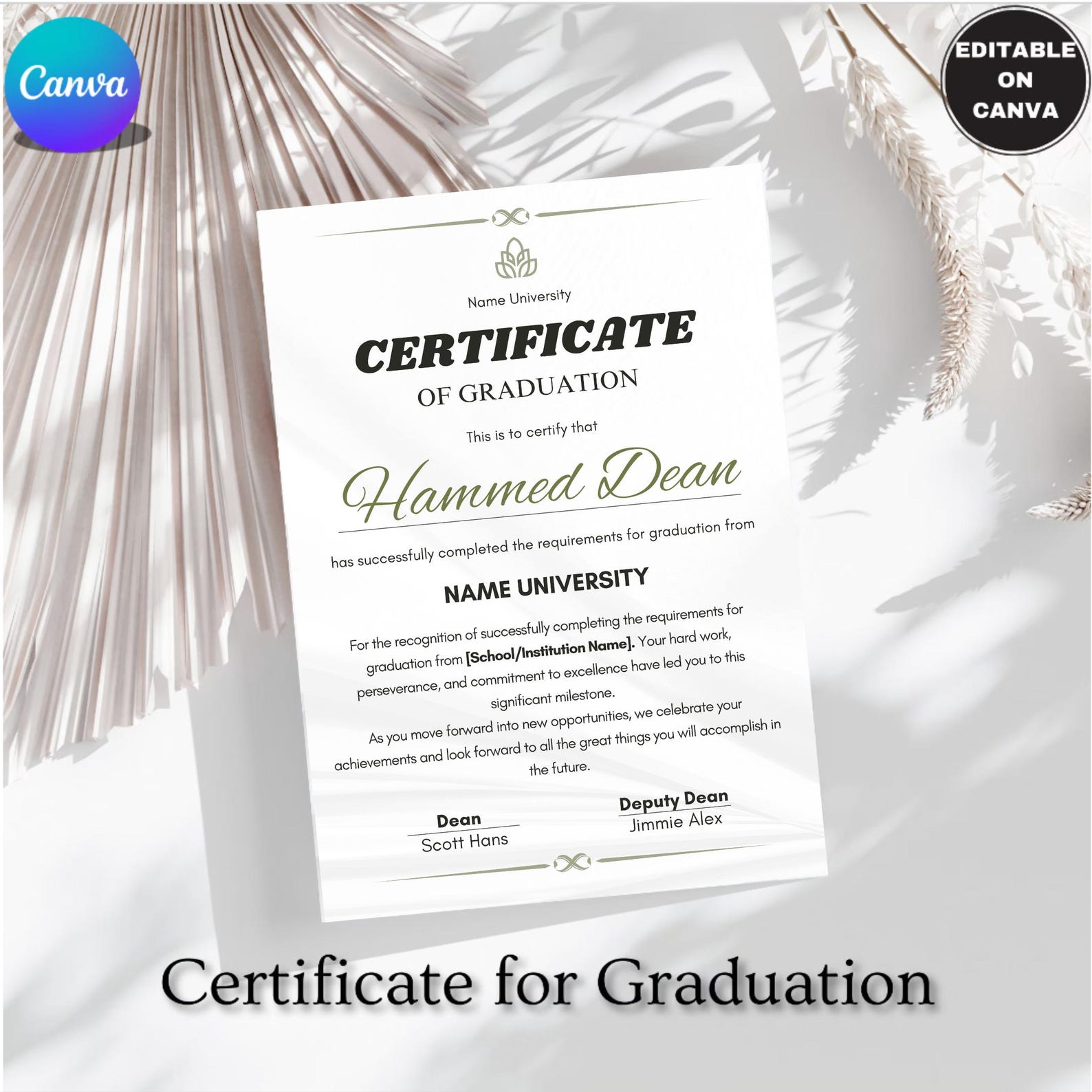 Digital Graduation Certificate Template Download PDF Format ...