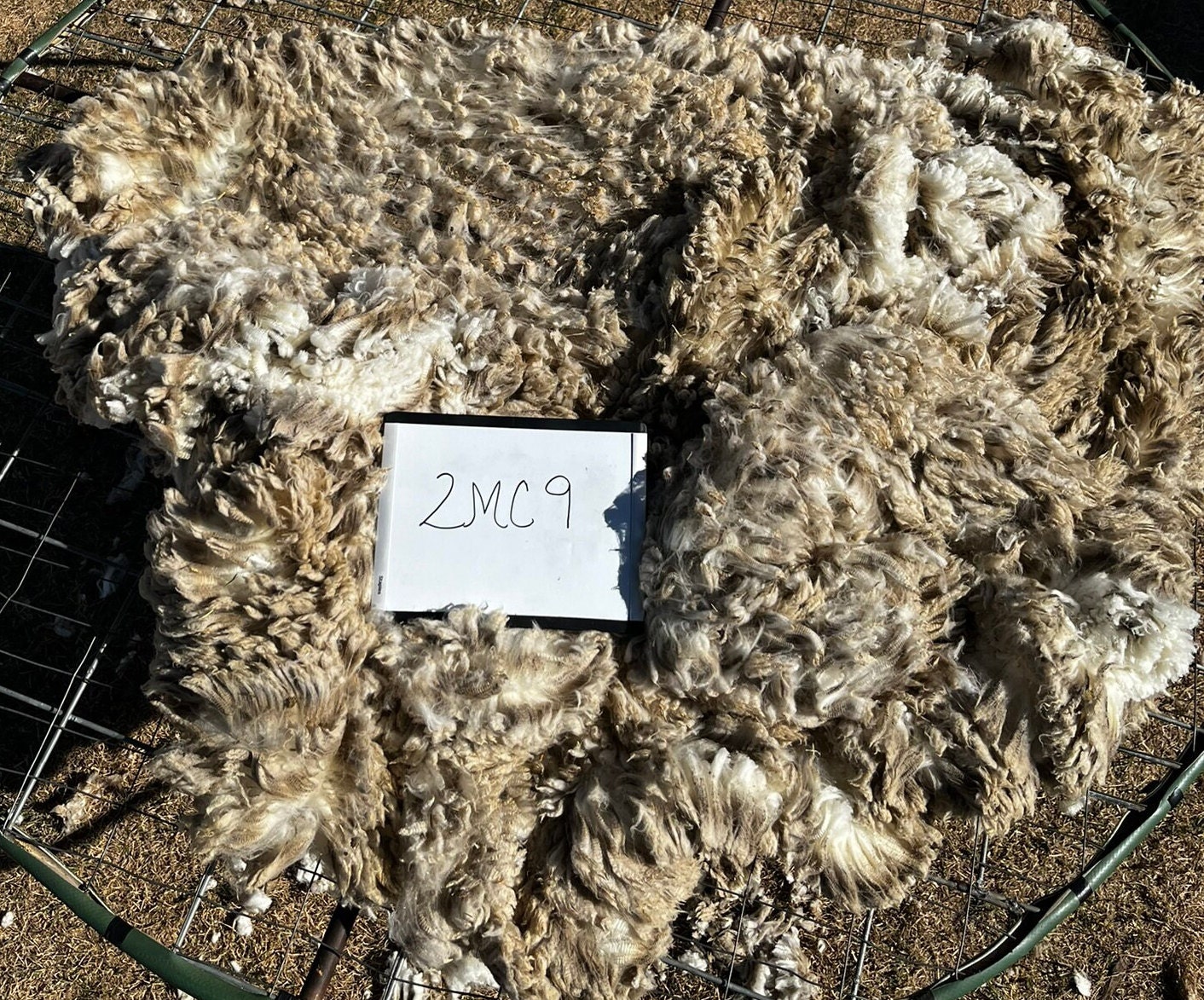 Raw Rambouillet/merino Fleece - Etsy