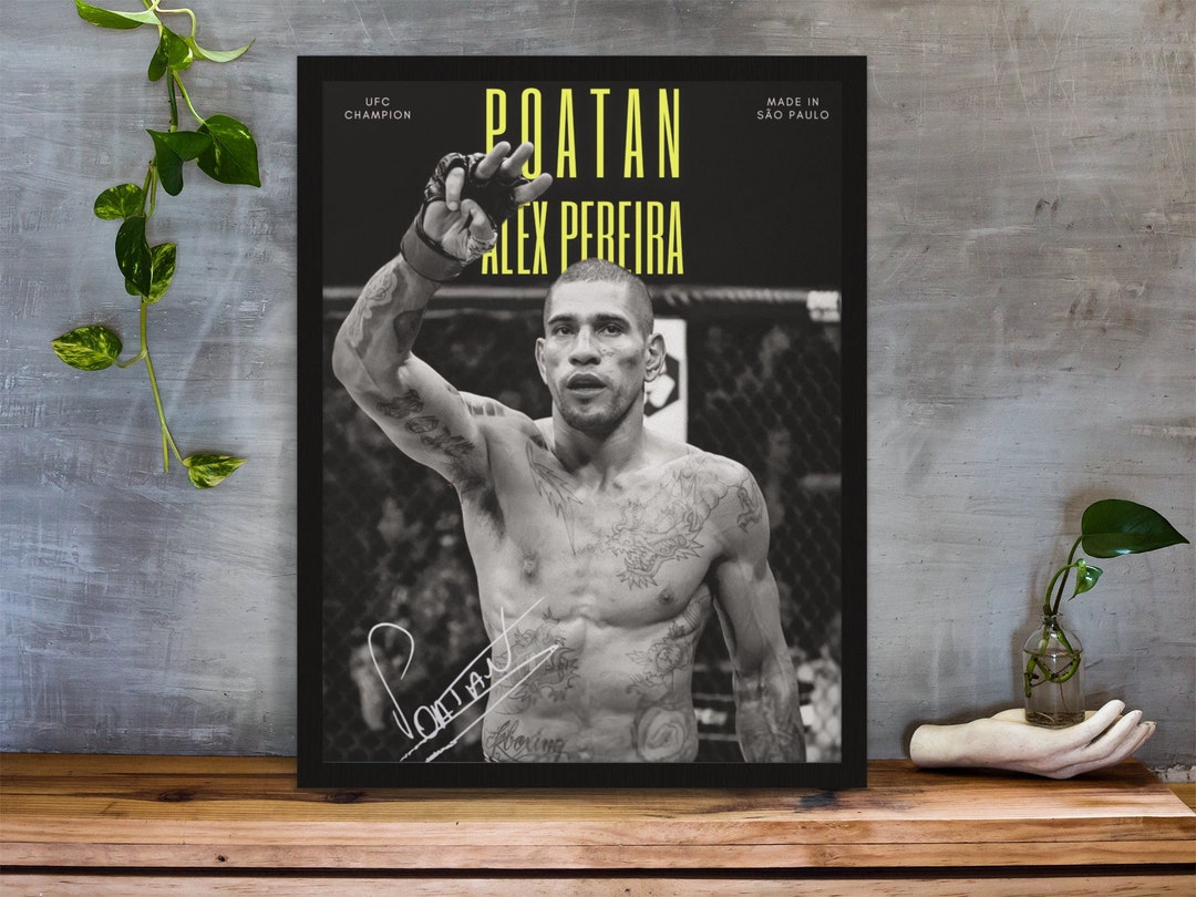 Alex Pereira Poster, UFC Poster, Poster Ideas, Brazillian Poster ...