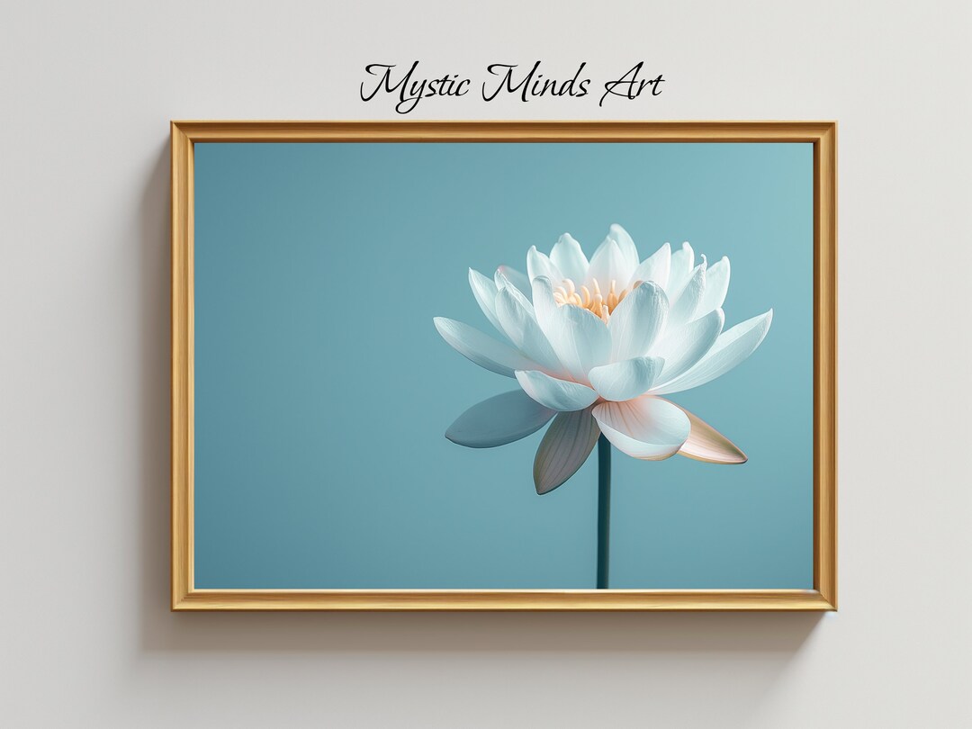Serene Bloom: A High Definition White Lotus Flower on a Minimalist ...