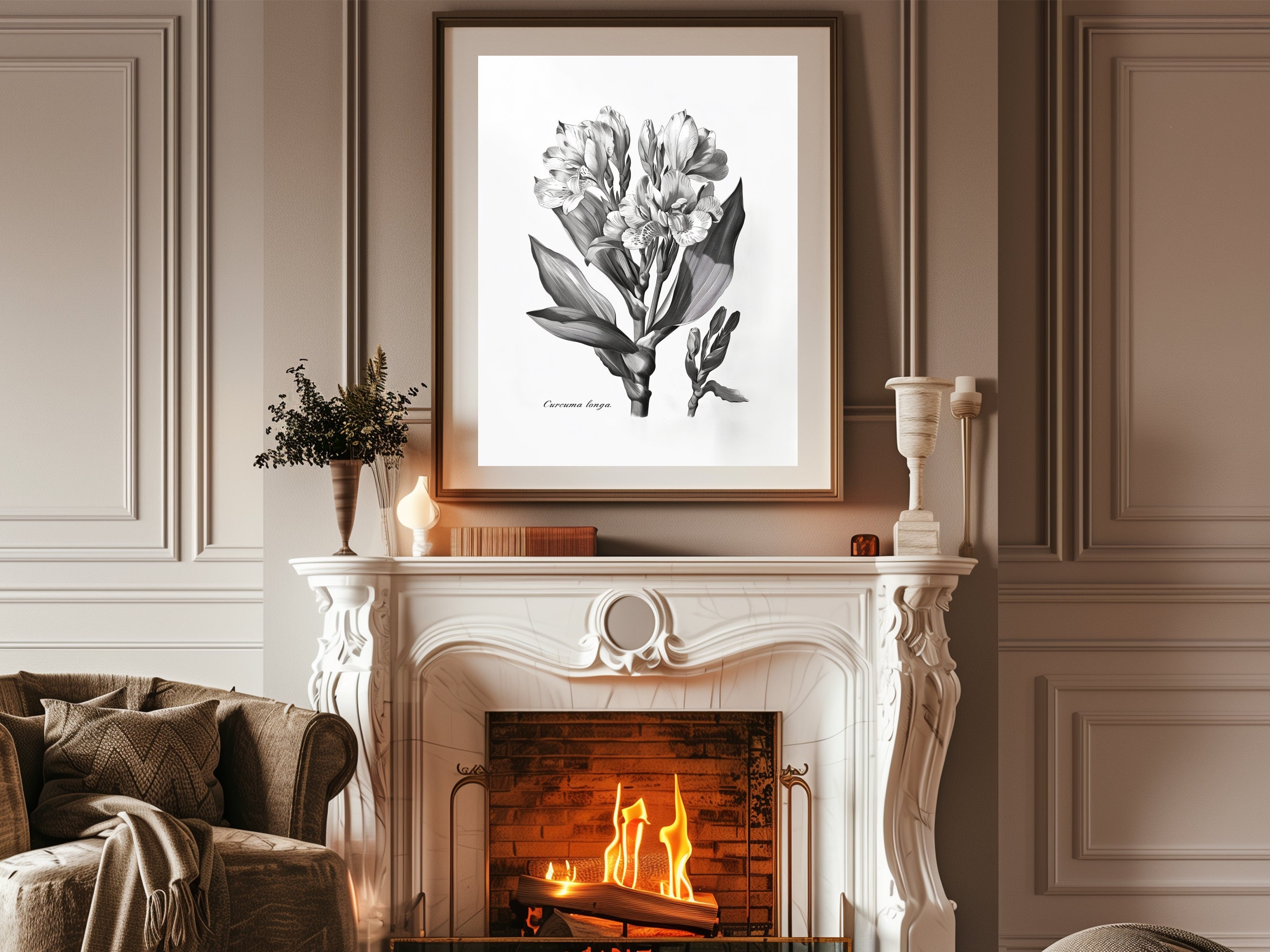 Curcuma Longa, Turmeric Engraving, Botanical Art, Monochrome, Printable ...