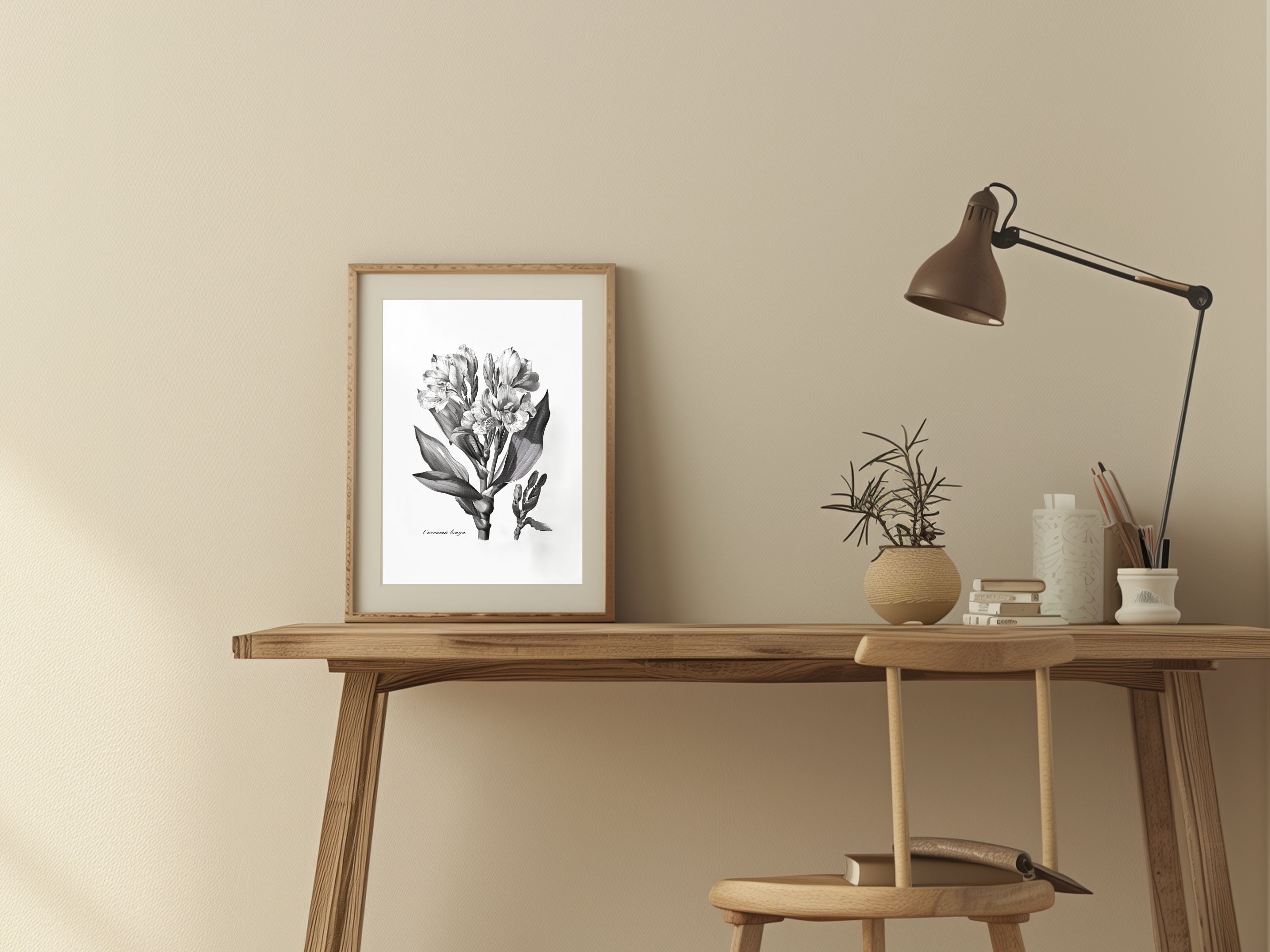 Curcuma Longa, Turmeric Engraving, Botanical Art, Monochrome, Printable ...