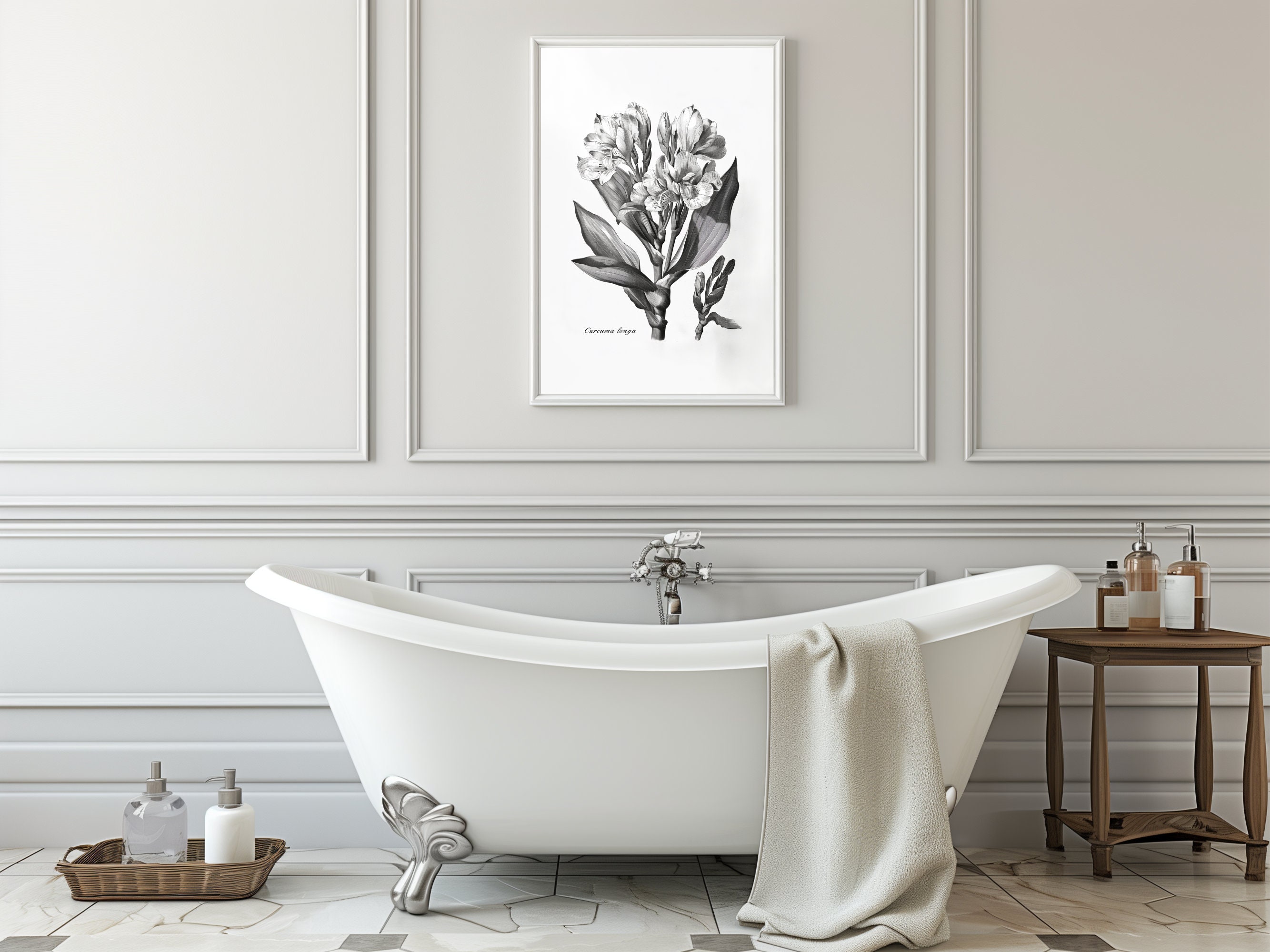 Curcuma Longa, Turmeric Engraving, Botanical Art, Monochrome, Printable ...