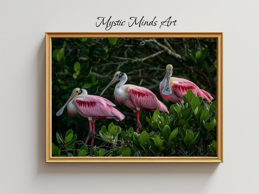Printable: Roseate Spoonbills in Florida Mangrove Forest. Stunning ...