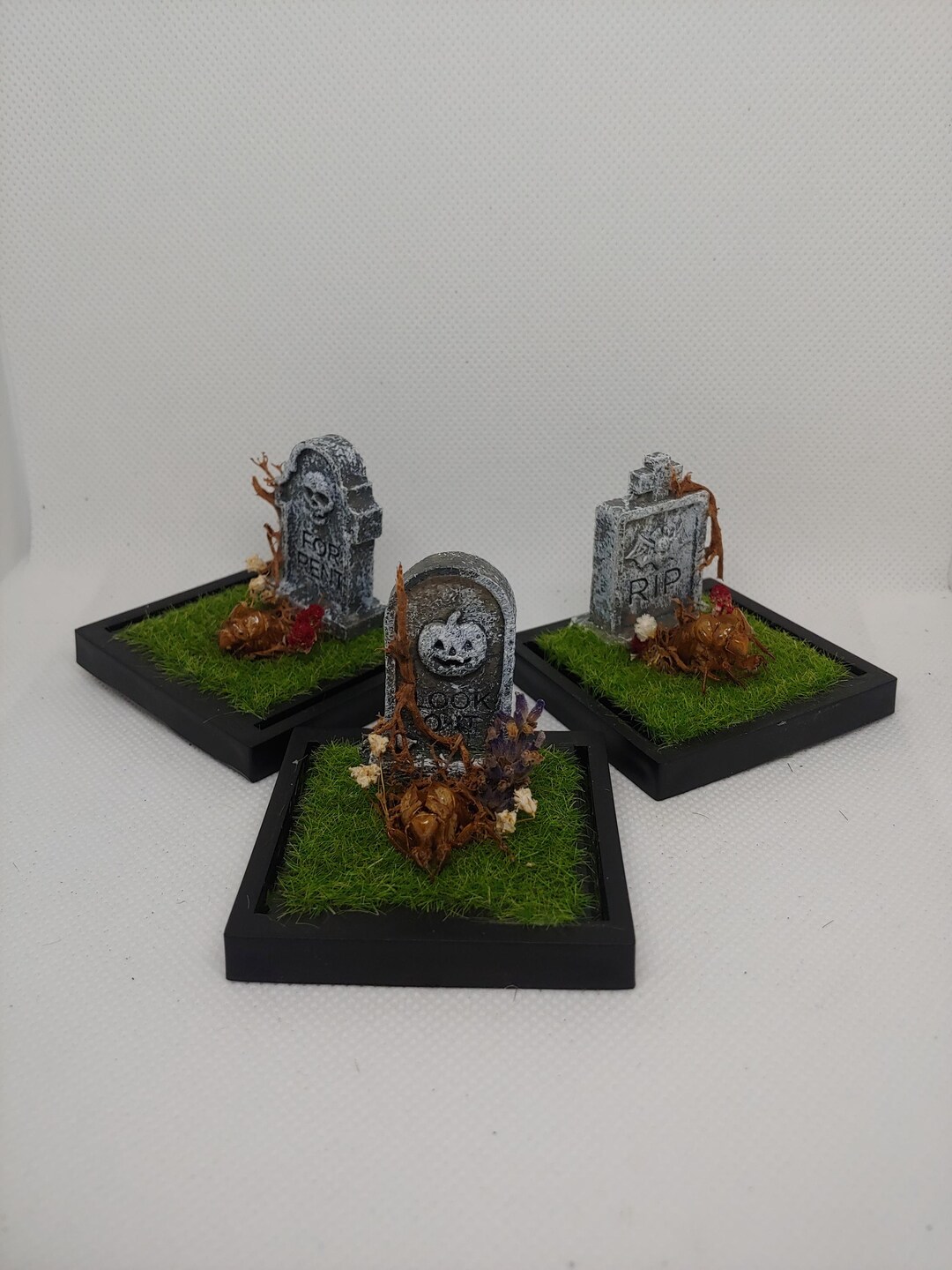 Zombie Cicada Shell Bad Insect Taxidermy Oddity and Curiosities - Etsy