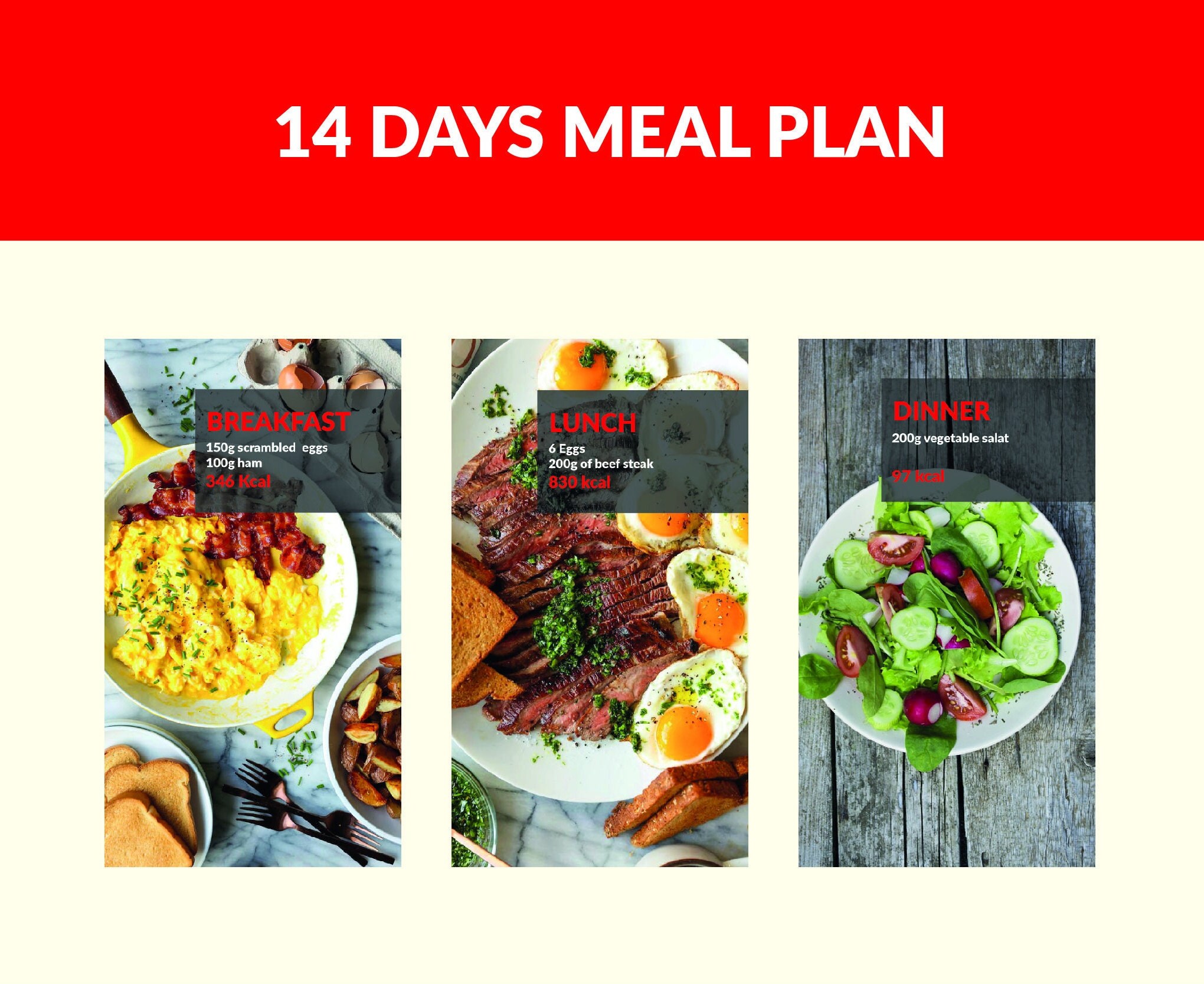 Carnivore Diet Guide 14 Days Meal Plan Start Eating The Real Food Etsy