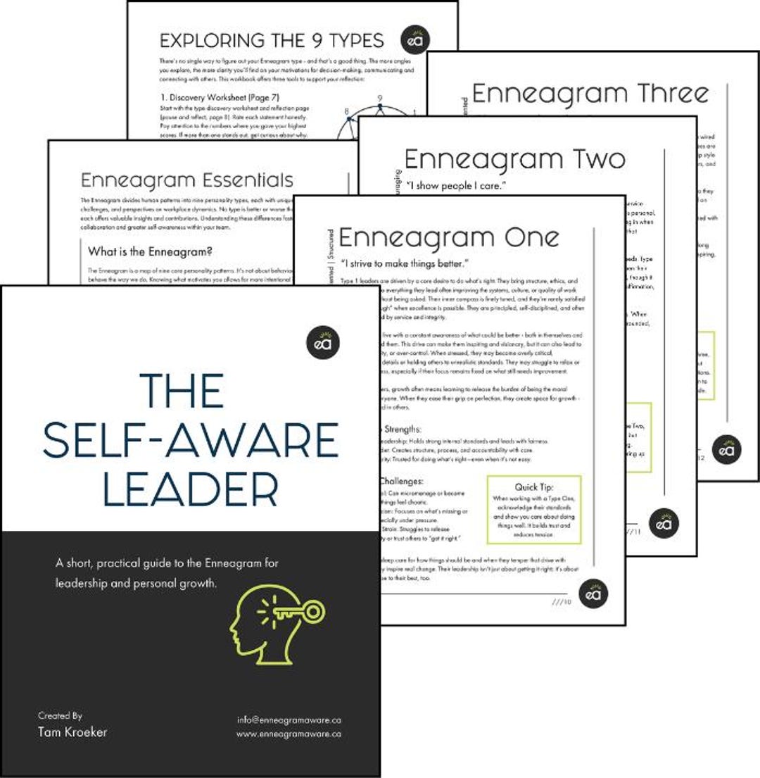 The Self-aware Leader: Find Your Type, Lead With Intention. - Etsy