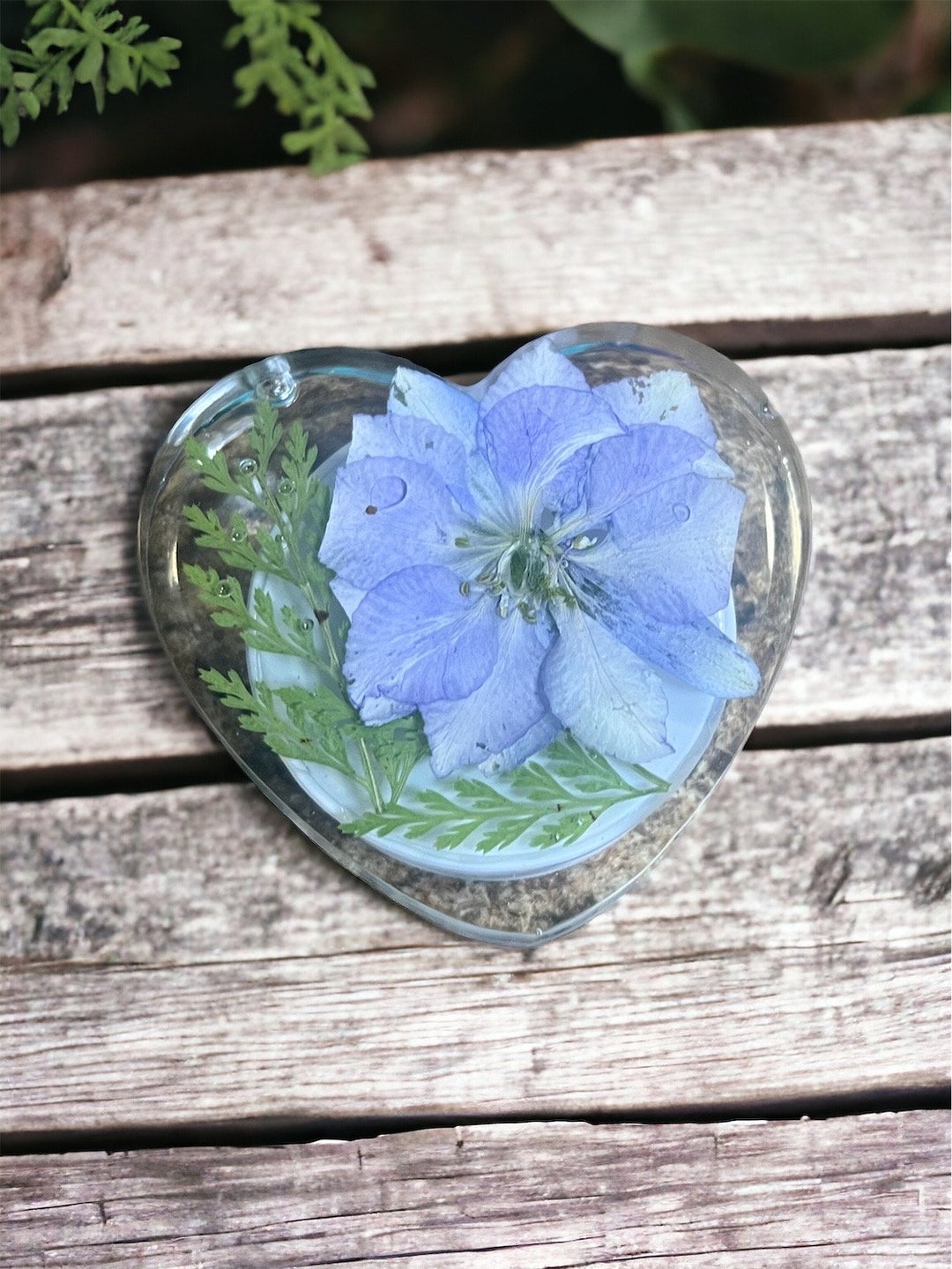 Real Flower Pop Socket - Etsy