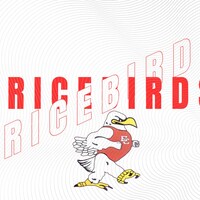 We Are Ricebirds SVG, PNG, Dxf, Jpg, Eps, Vintage Ricebirds Game Day ...