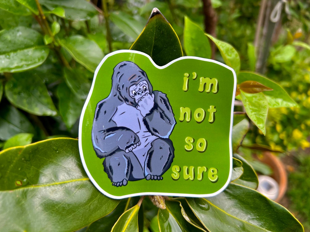 Gorilla Sticker Im Not so Sure Vinyl Laminate Water Resistant Sticker ...