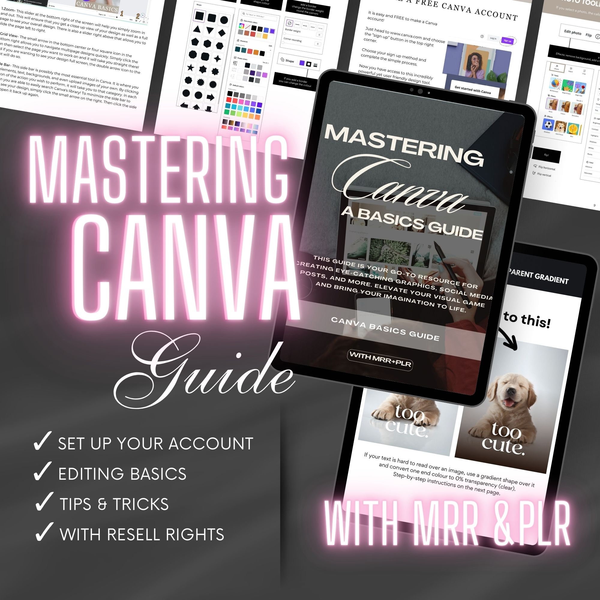 Canva Guide Template Canva Crash Course PLR Templates Master Resell ...