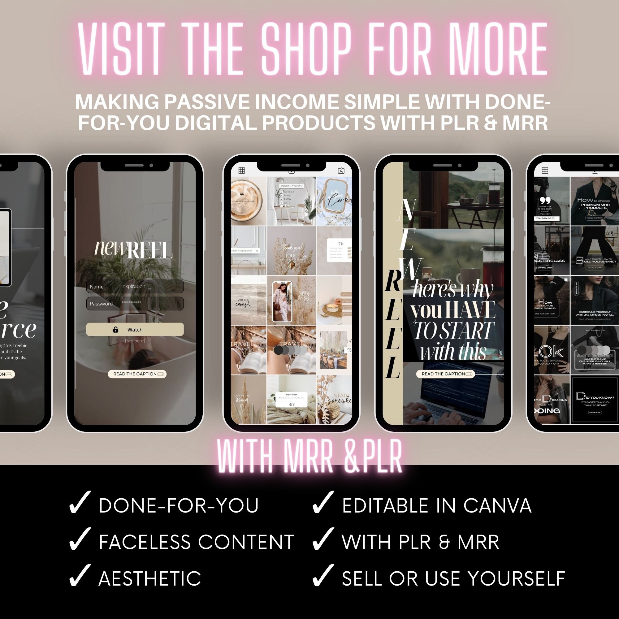 Canva Guide Template Canva Crash Course PLR Templates Master Resell ...