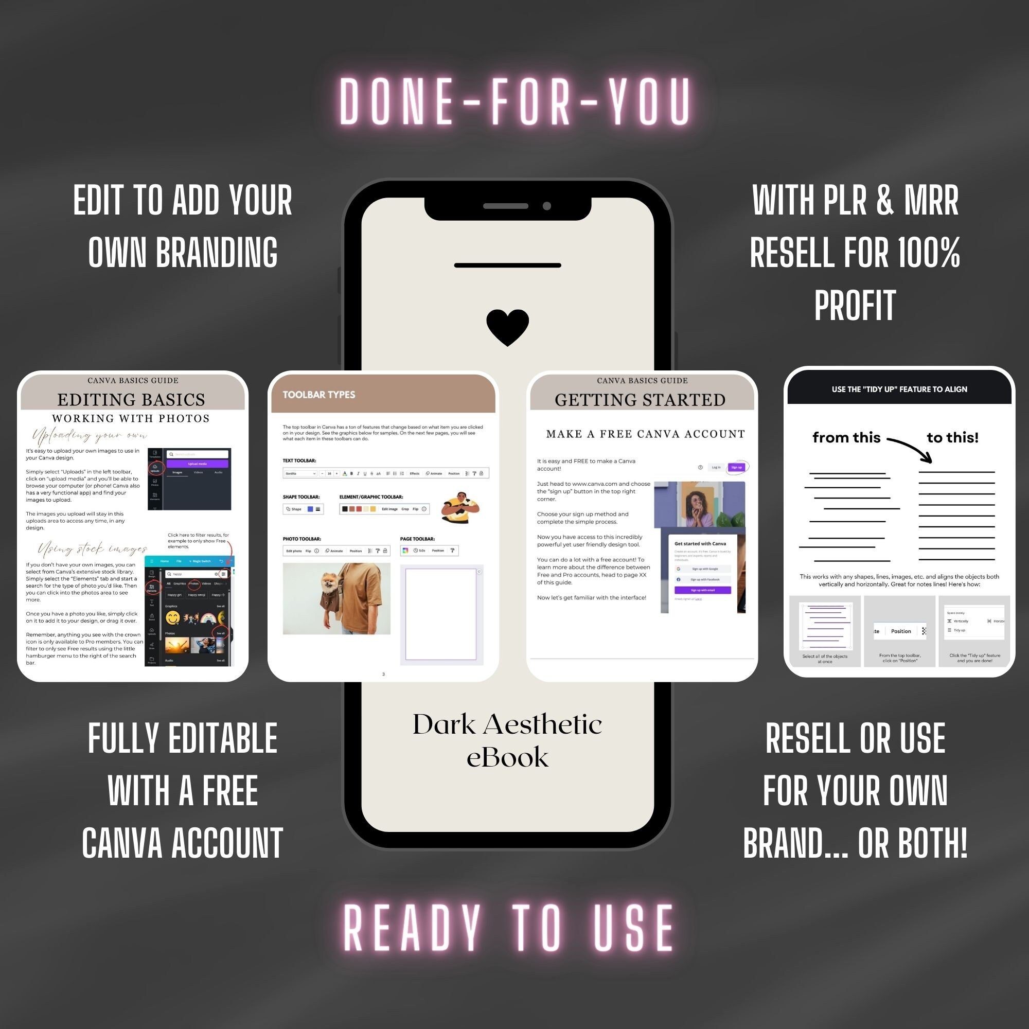Canva Guide Template Canva Crash Course PLR Templates Master Resell ...