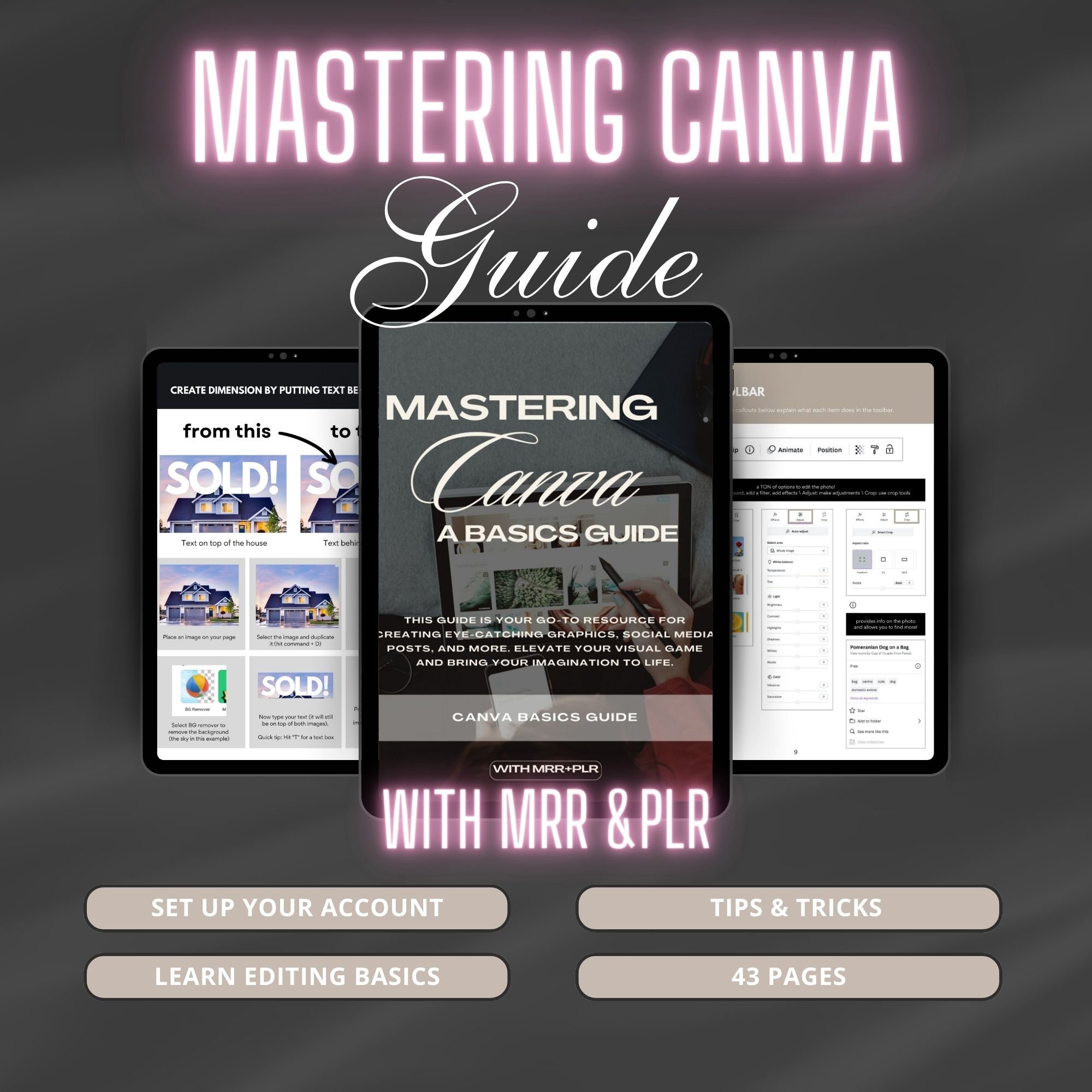 Canva Guide Template Canva Crash Course PLR Templates Master Resell ...