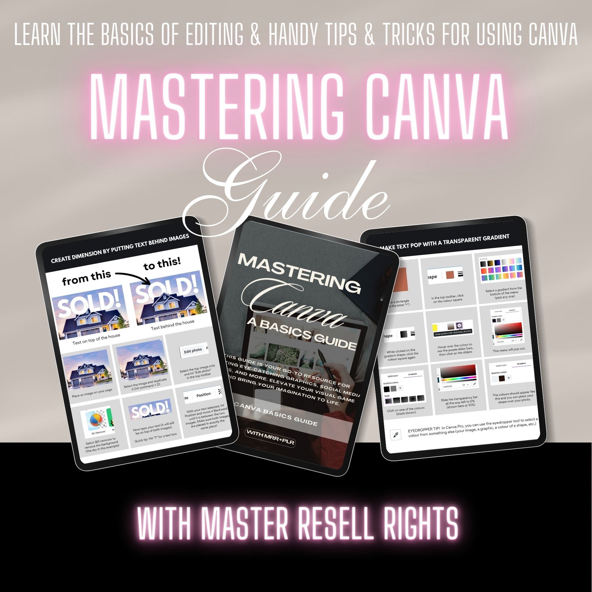 Canva Guide Template Canva Crash Course PLR Templates Master Resell ...
