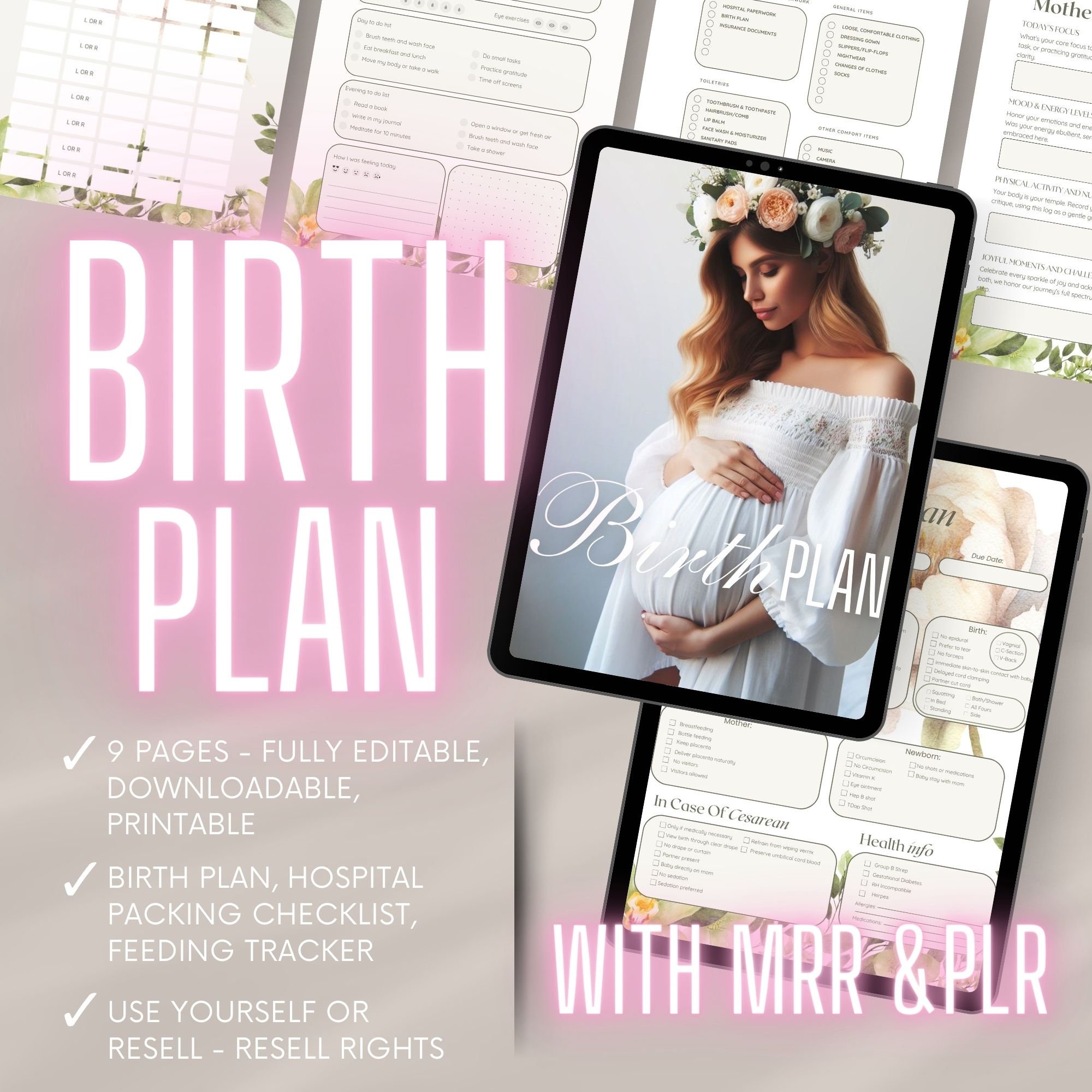 Birth Plan Template Visual Birth Plan Canva Baby Must Haves PLR ...