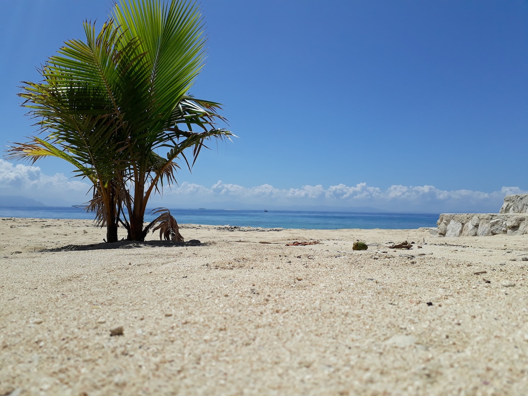 Beach Wallpapers - Etsy
