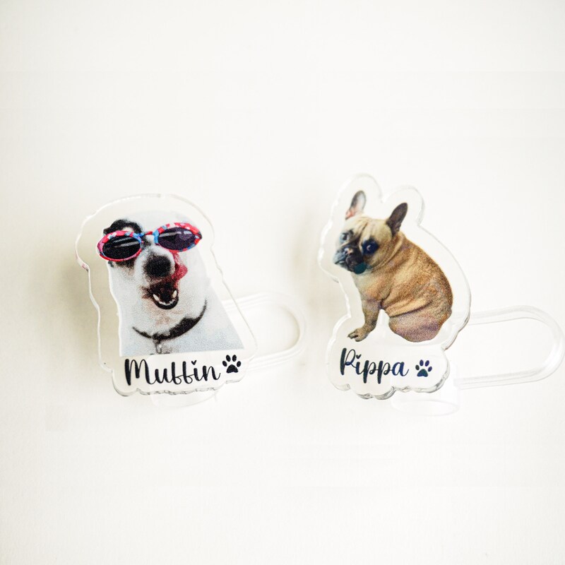 Stanley Topper Straw - Etsy