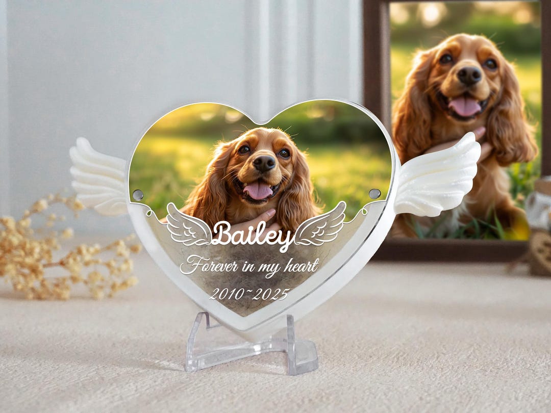 Custom Pet Memorial Photo Box, Acrylic Pet Fur Keepsake, Pet Hair ...