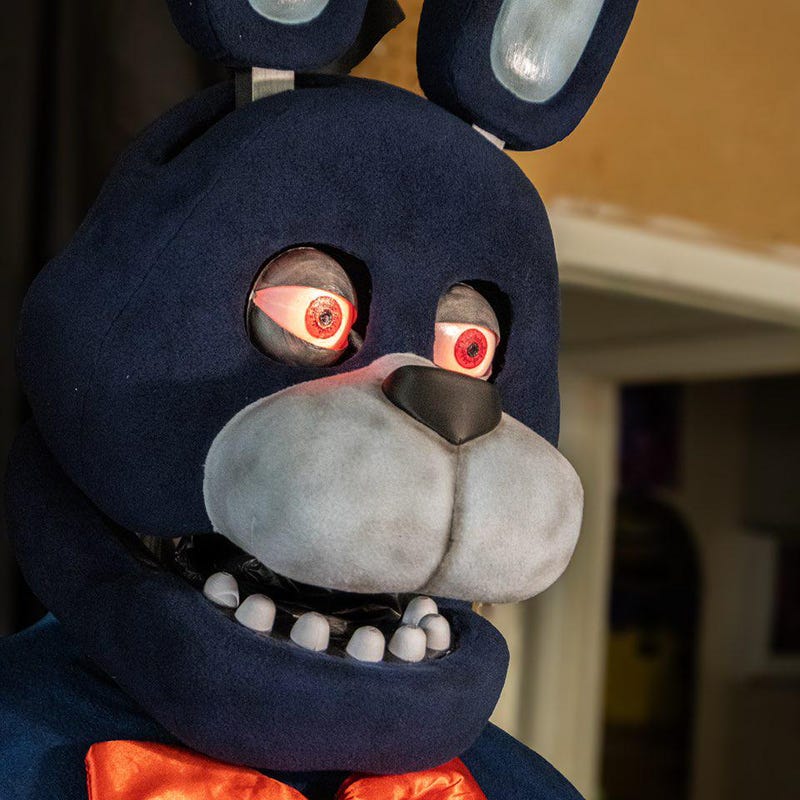Spring Bonnie Costume for Kids - Etsy