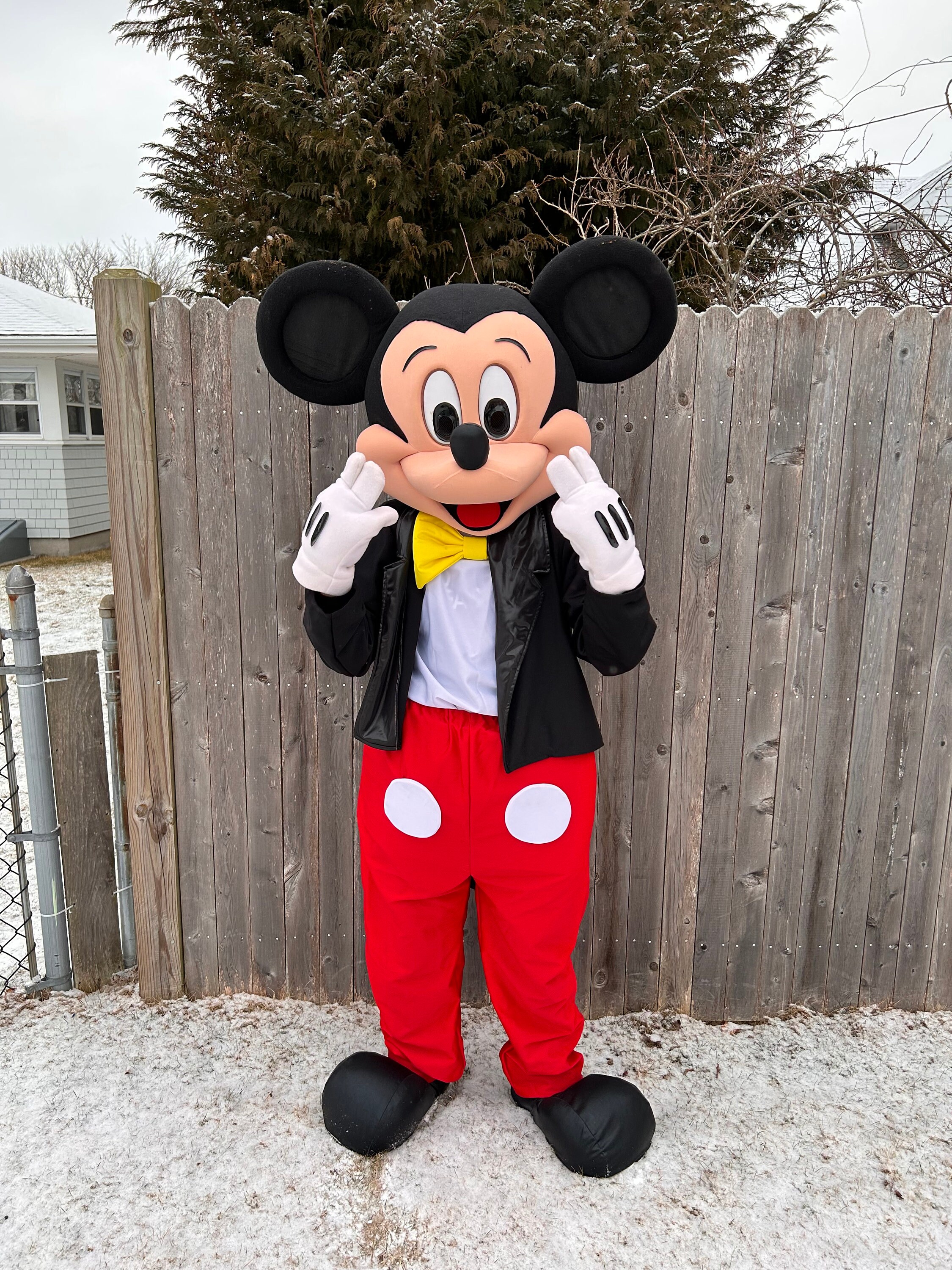 Mickey Mouse Inspired Costumed Mascot Costume Adult Cosplay Costumed ...