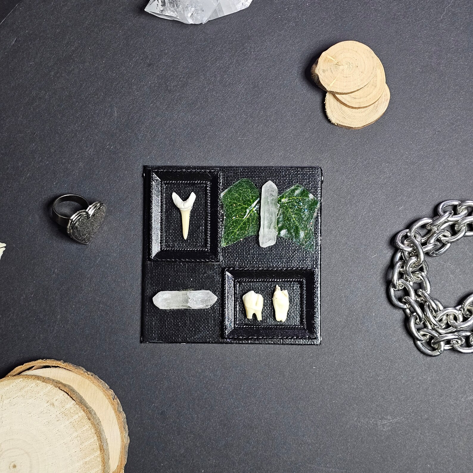 Framed Haunted Cottagecore Deer and Shark Tooth, Clear Quartz Frame ...